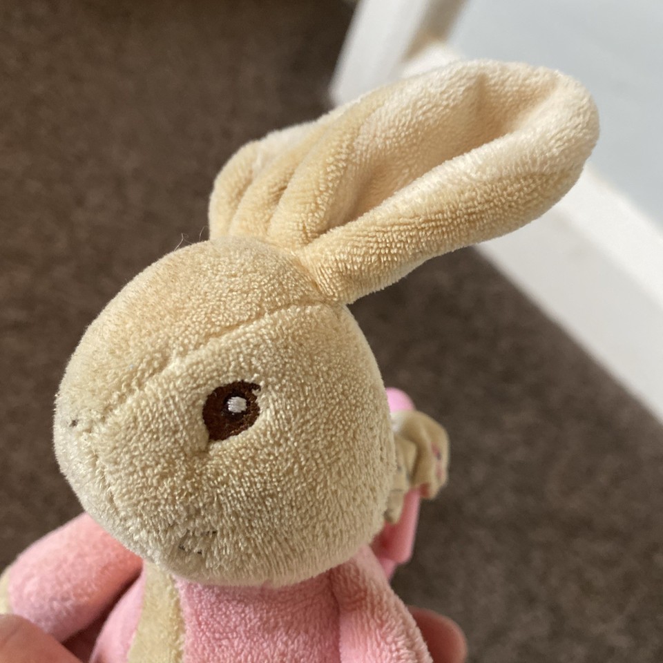 Peter Rabbit Soft Toy Flopsy Bunny Beatrix Potter x2(1 vibrates)Rainbow ...