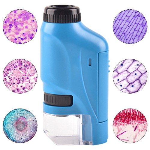 60-120x Electric Mini Pocket Microscope with LED Light Children ...