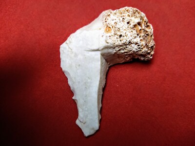 Fossil Rock Indian Artifact Knife Blade Scraper Tool Arrowheads Native ...