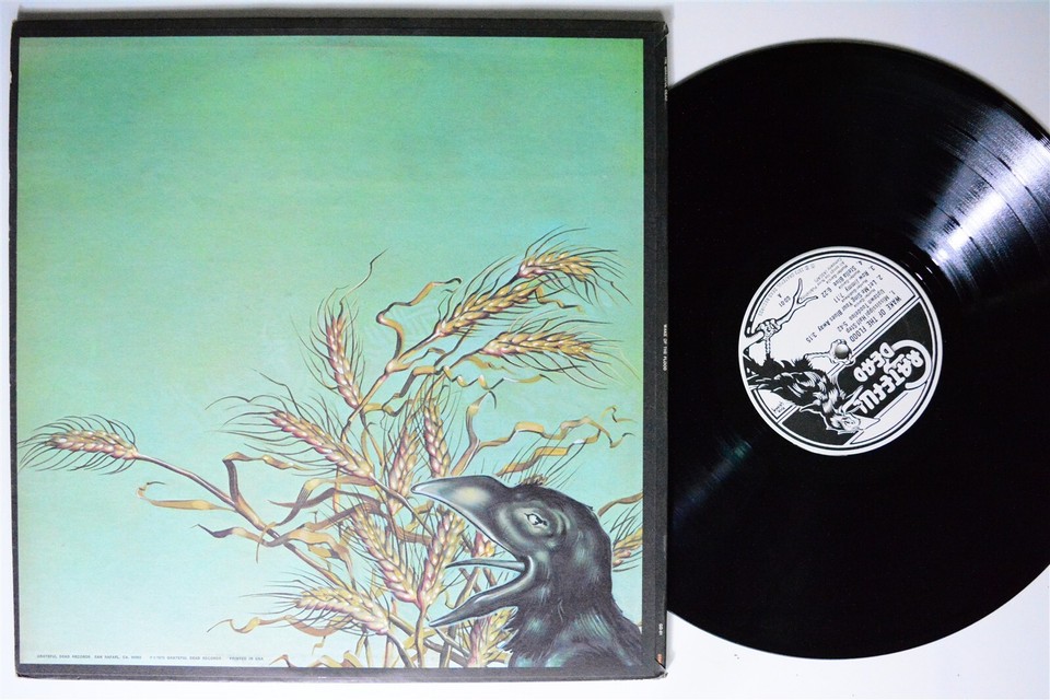GRATEFUL DEAD Wake Of The Flood GRATEFUL DEAD RECORDS LP VG++ 1st press | eBay