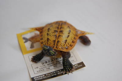 Chocolasaurs Dinotales #018 Sinemys kaiyodo | eBay