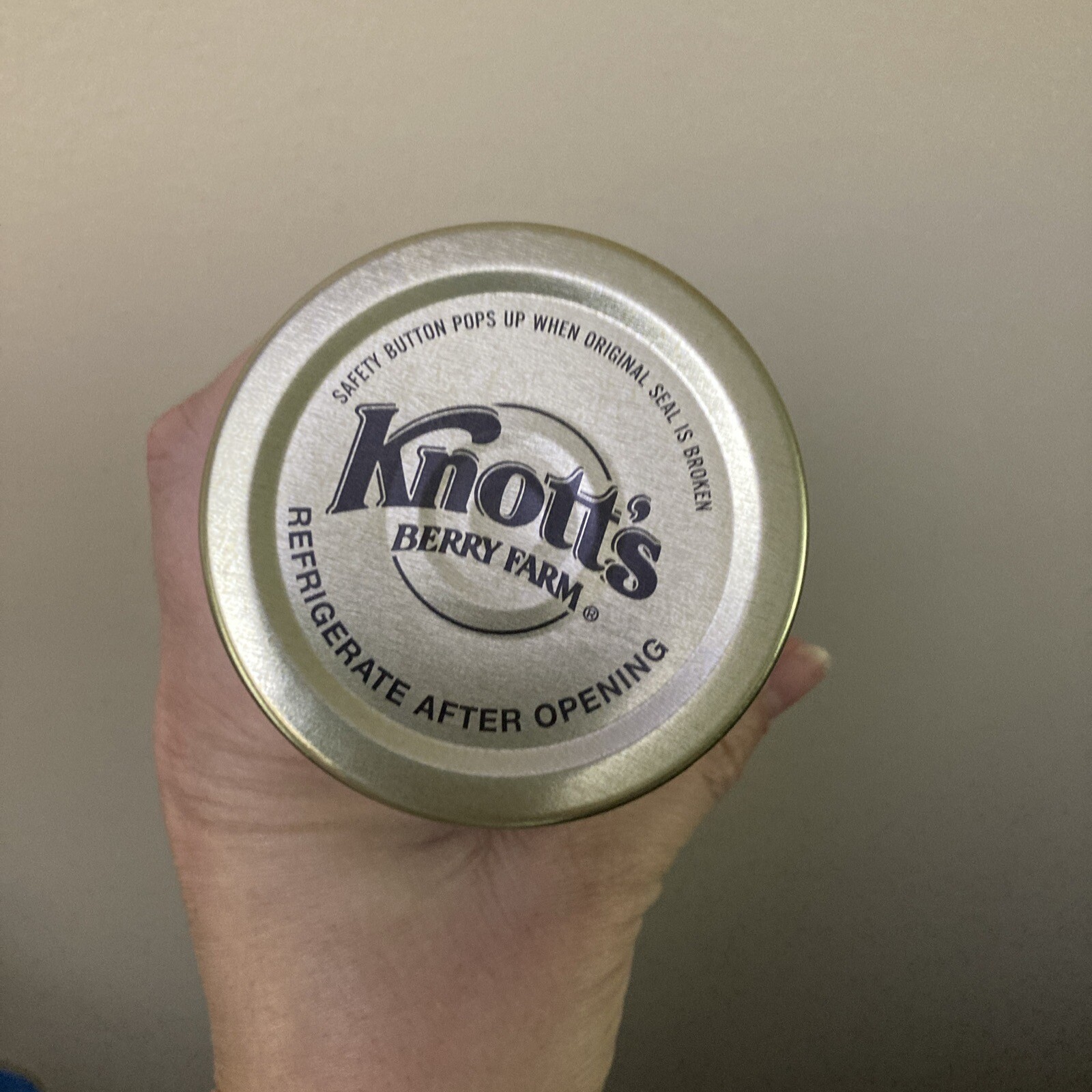 Knott's Berry Farm Seedless Boysenberry Jam 16oz Jar (pack of 2) for ...