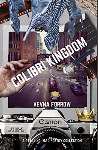 Vevna Forrow Colibri Kingdom (Hardback) | eBay