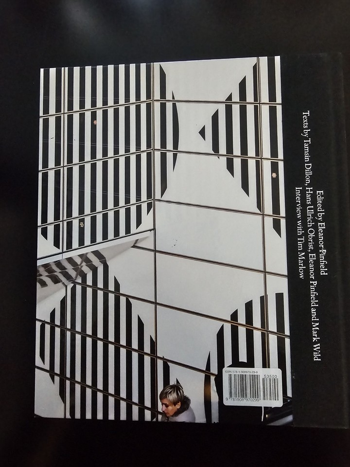 Daniel Buren Underground. Pinfield, Obrist 9781908970299 Fast Free ...