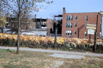 #SL121 Old 35mm Slide Photo-Chicago Illinois 61st Building-Red ...