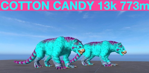 CC 13k 773m Thyla Pair Ark Survival Ascended PVE ASA Xbox/PC/PS5 ...