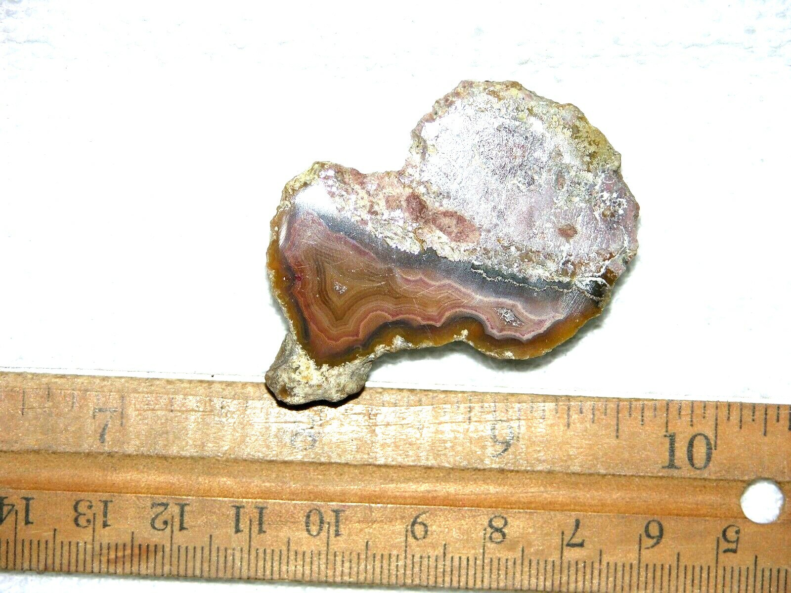 Laguna agate geode cut and polished Mexico 1 x 2 inch G119 | eBay