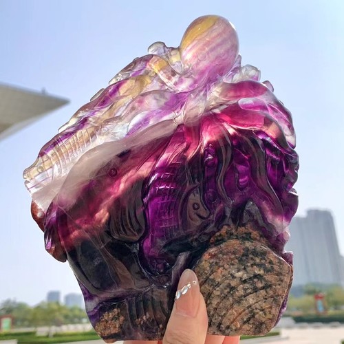 1pc Natural Fluorite Quartz Carved sea world Skull Crystal Reiki ...