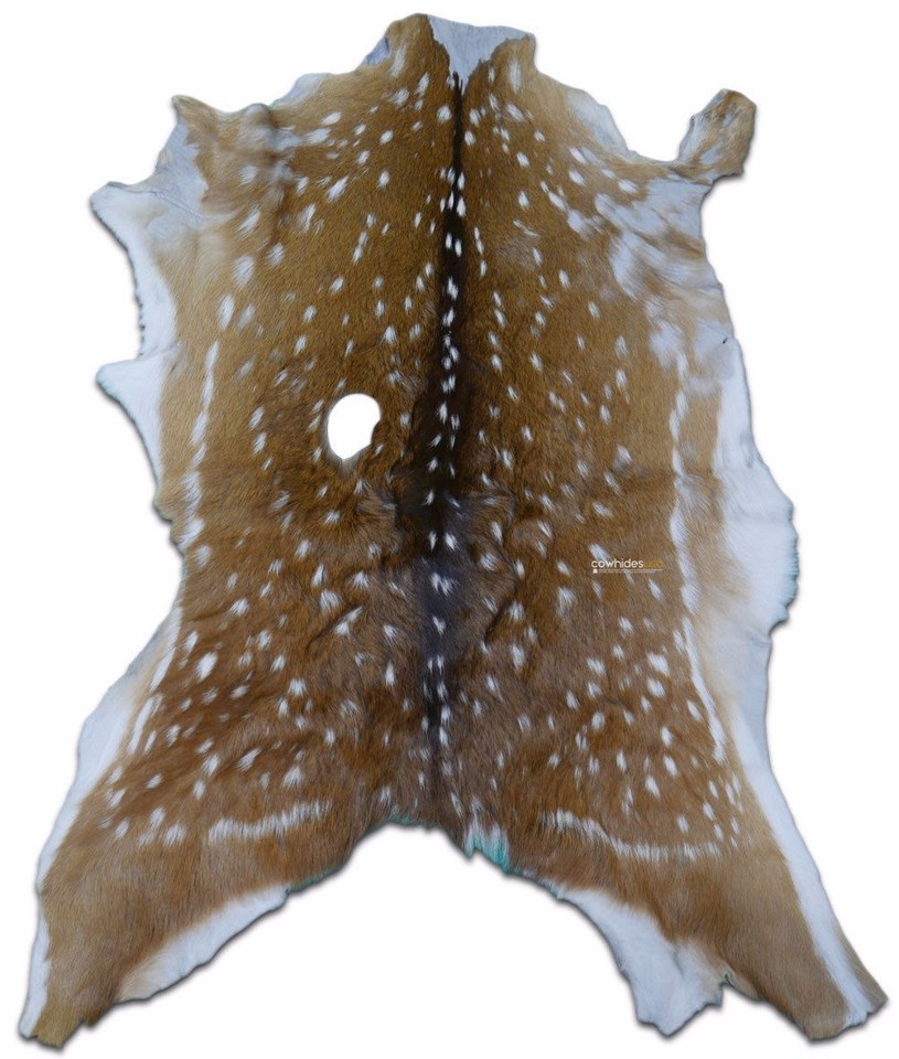 Axis Deer Skin Second Grade Axis Deer Hide Size: 38"X30" Chital deer ...