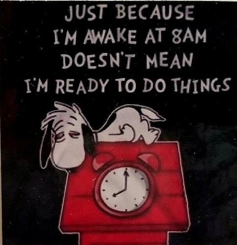 Just Because I'm Awake 8AM Not Ready to Do Things Snoopy Charlie Brown ...