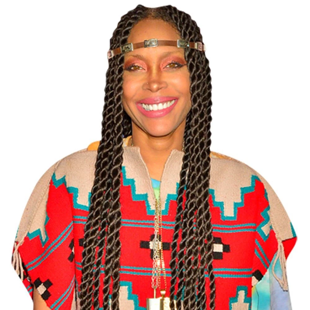 Erykah Badu Box Braids