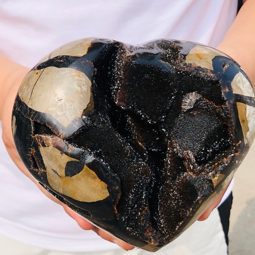 3.89LB Natural Turtle Back Stone Dragon Crystal Cave Crack Gem Healing ...
