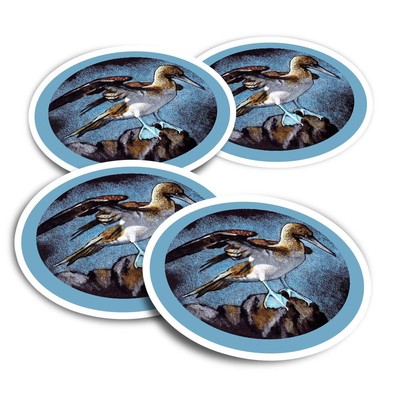 4x Vinyl Stickers Blue-footed Booby Bird #59612 | eBay UK