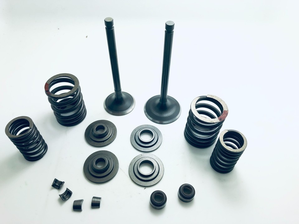 Engine Complete Valve Set Kit Fit Hisun 450 Sector Vector Tactic RK ...