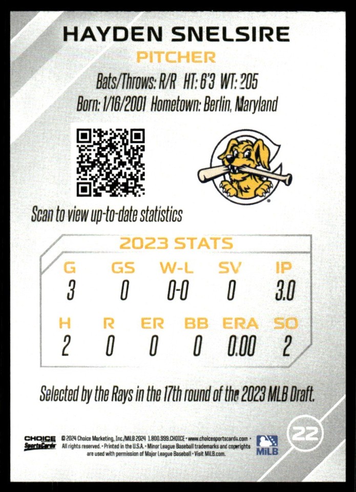 2024 Hayden Snelsire MiLB Rookie Minor League Card Charleston Riverdogs ...