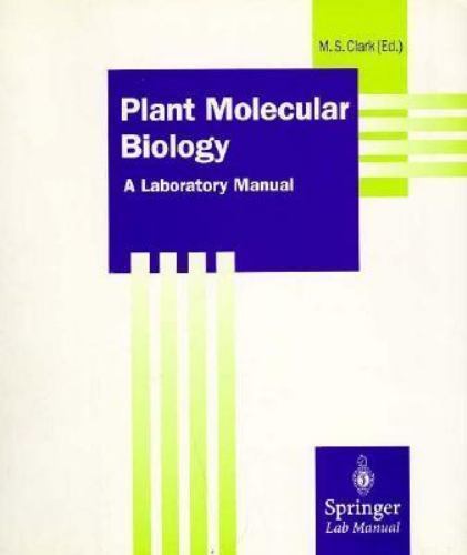Springer Lab Manuals Ser.: Plant Molecular Biology : Springer by M ...