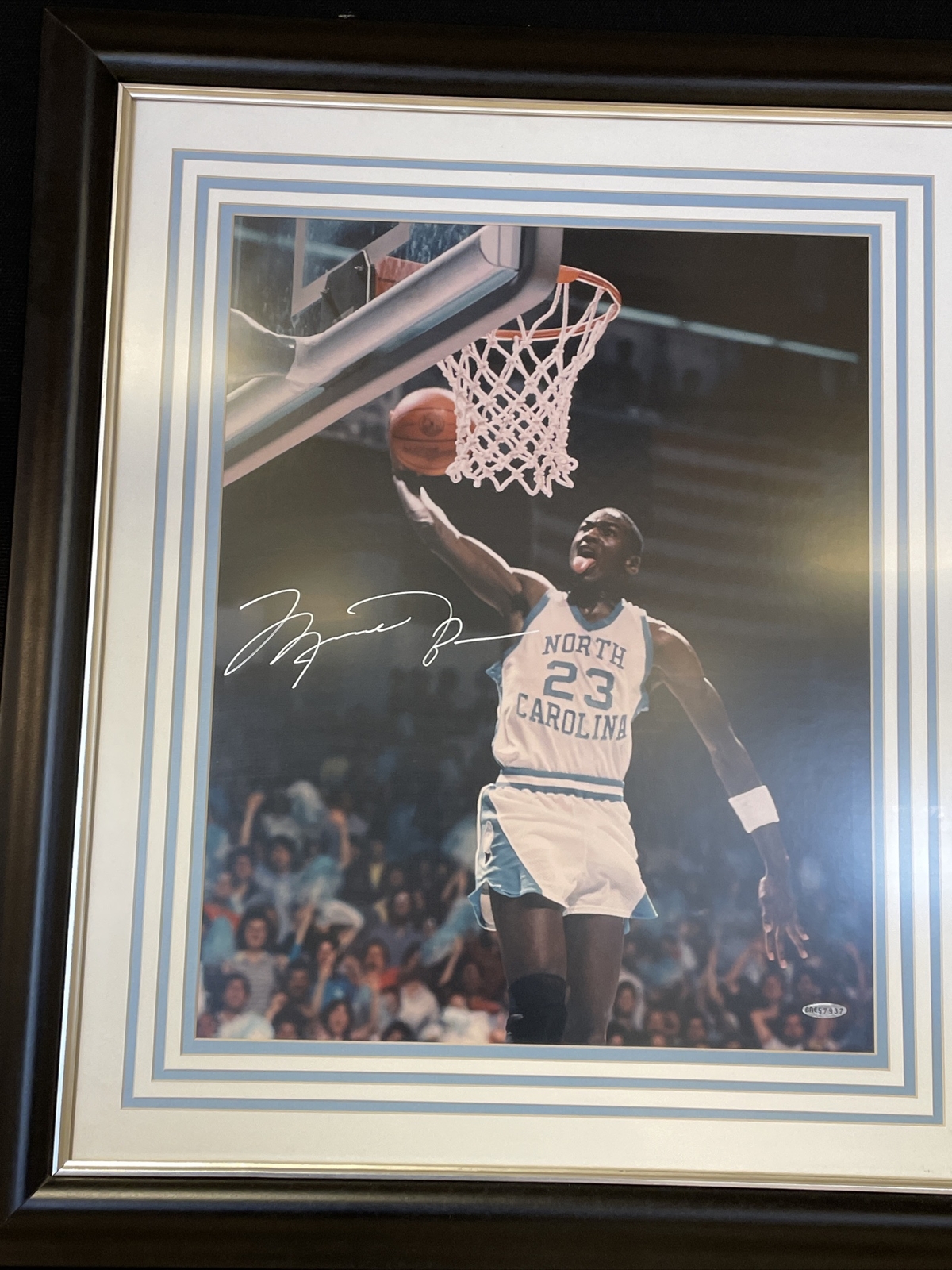 Michael Jordan Signature Dunk