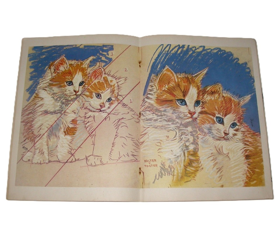Vintage How to Draw CATS Art Instruction Guide CAT Drawing BOOK Walter ...