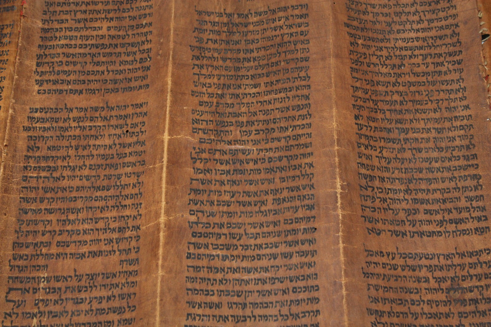 TORAH BIBLE VELLUM MANUSCRIPT COMPLETE Leviticus Scroll 400-500 YRS OLD ...