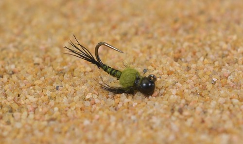 6 Flies - Tungsten Olive Two Bit Hooker Jig Head Fly - Euro nymph ...