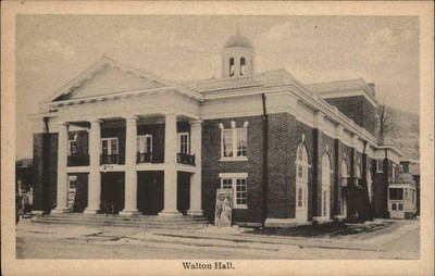 Walton NY New York Walton Hall Theatre c1900-20s Vintage Postcard | eBay