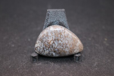 Fossilized Dino Bone Cab 5 Grams | eBay