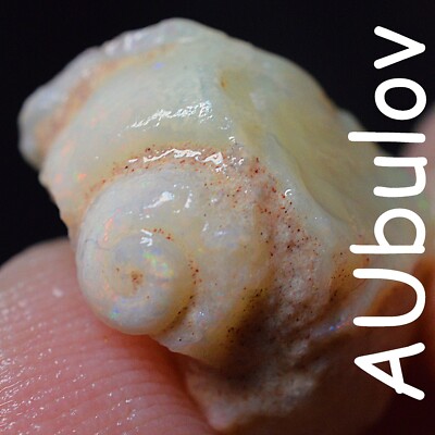 CP Opal Rough Opal Snail Shell + Some Beautiful Colour 12.30 Carats | eBay