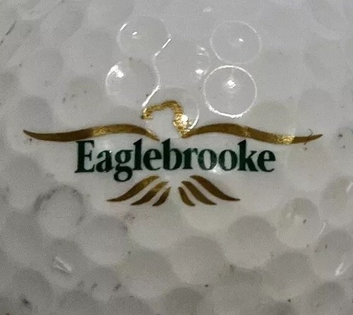 Eaglebrooke Golf Course Logo Titleist #4 DT SOLO Collector’s Golf Ball | eBay