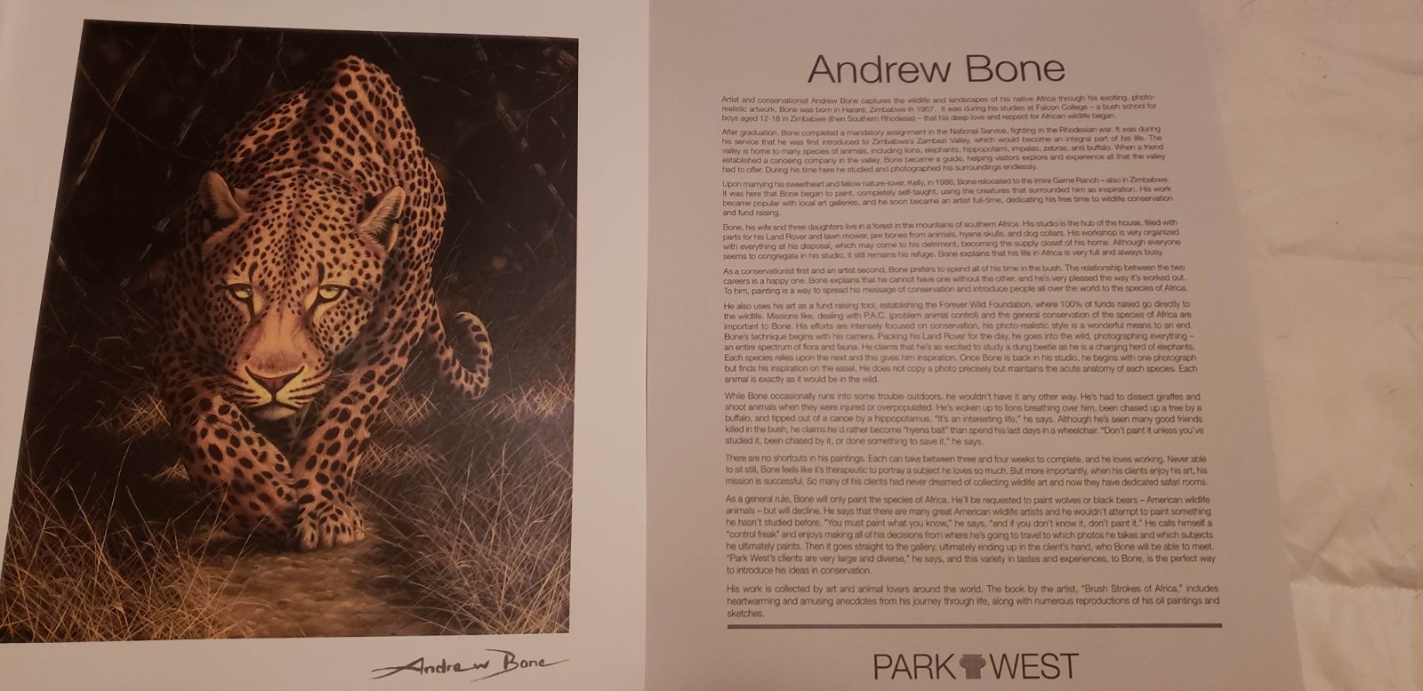 Andrew Bone, African Mystique Seriolithograph on achival Paper, signed ...