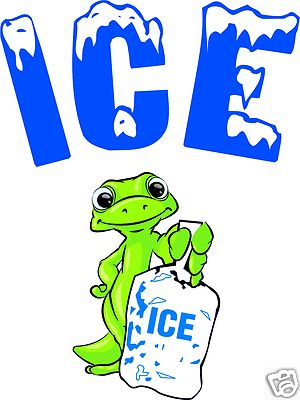 Ice Bag Decal 24" Concession Gecko Truck Cart Food Truck Menu Vinyl ...