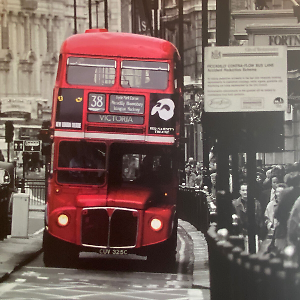 The Big Red Bus | eBay Stores
