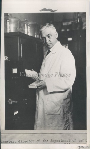 1930 Johns Hopkins University George Streeter Scientist Photo 5X7 | eBay