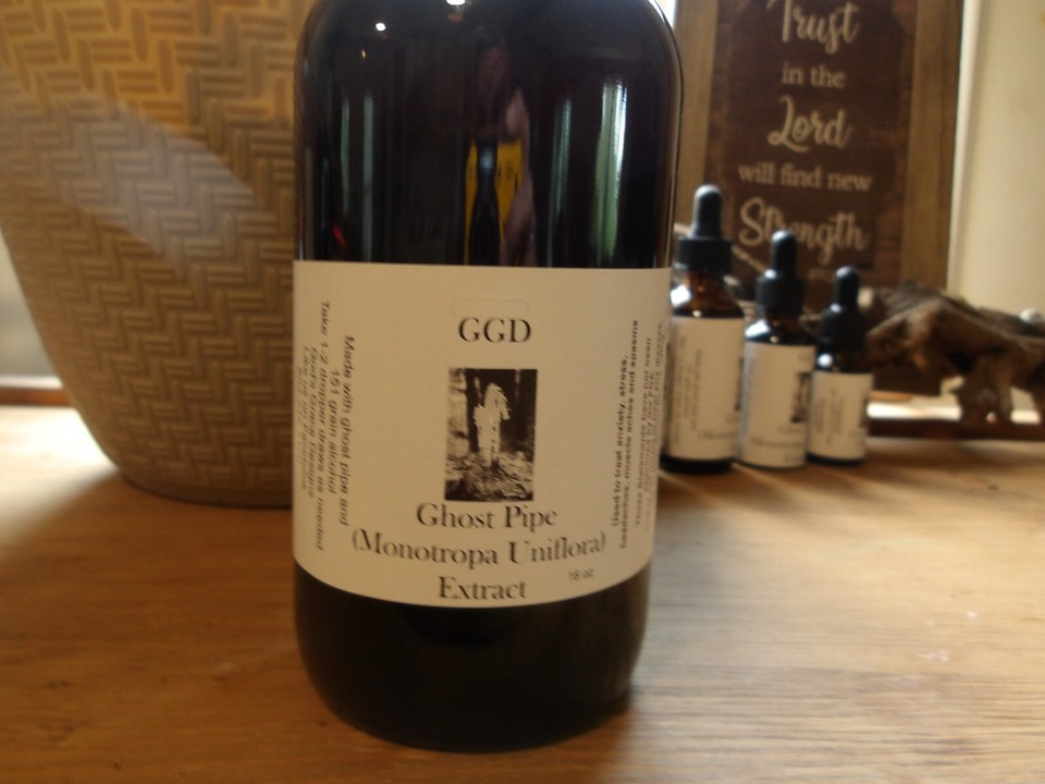 16 oz Ghost Pipe extract ( Monotropa Uniflora) | eBay