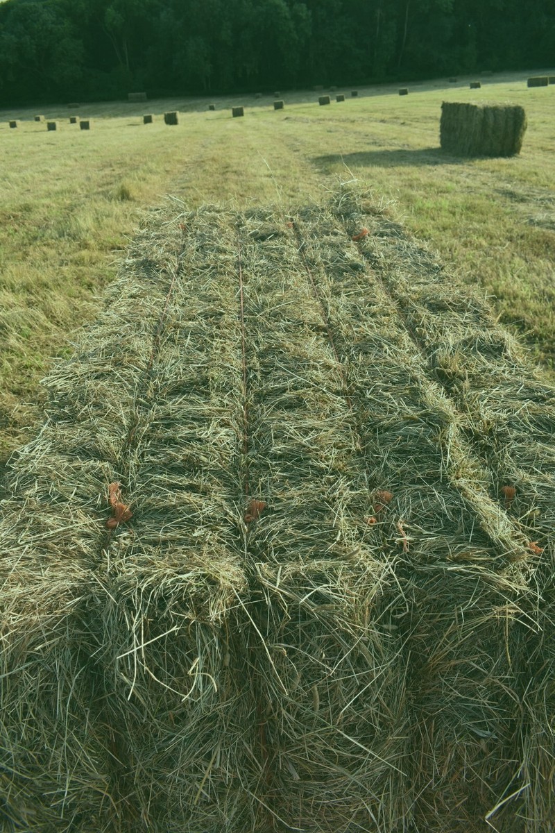 Small Hay Bale Dimensions