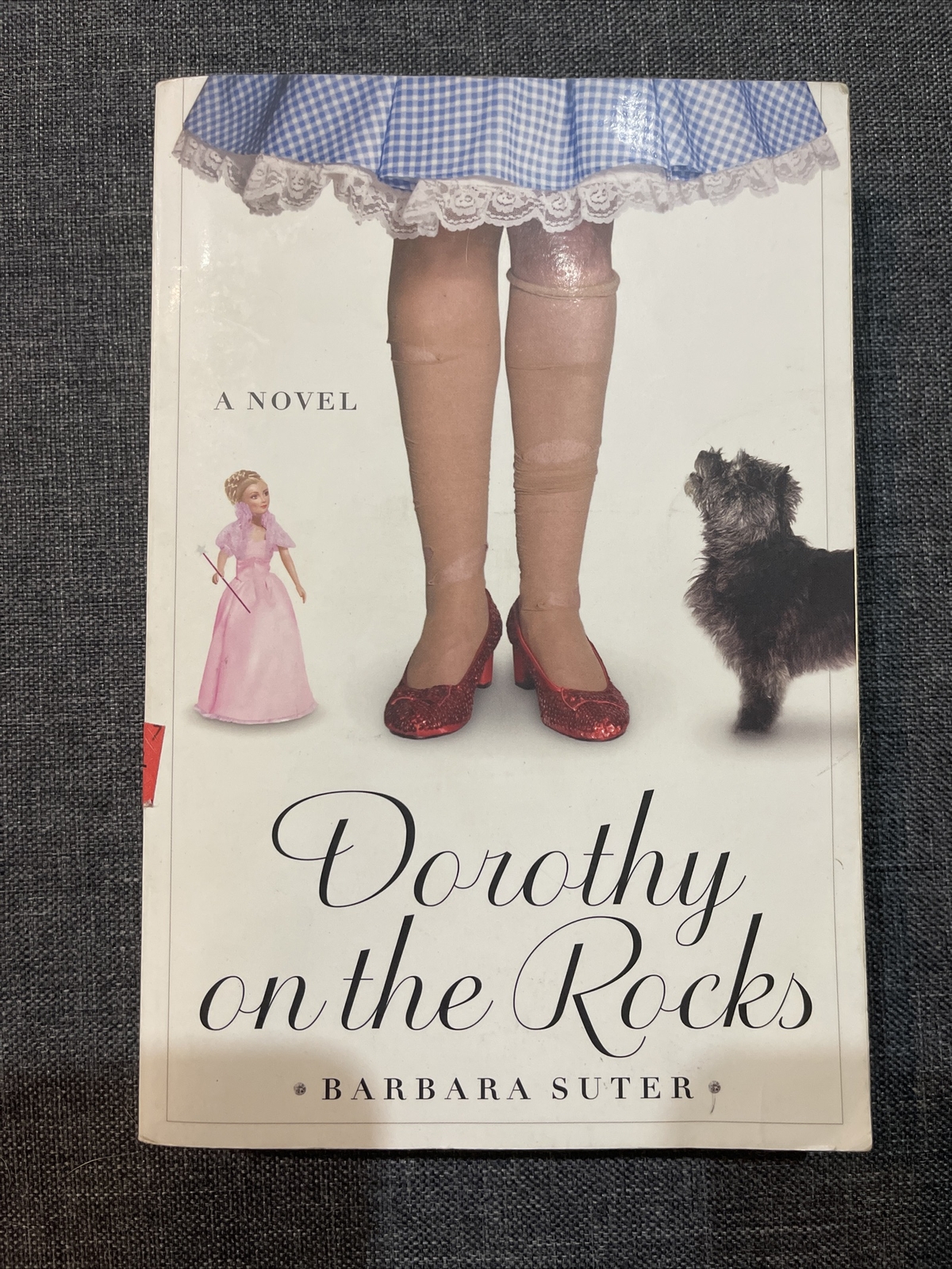 Dorothy on the Rocks by Barbara Suter (2008, Trade Paperback ...