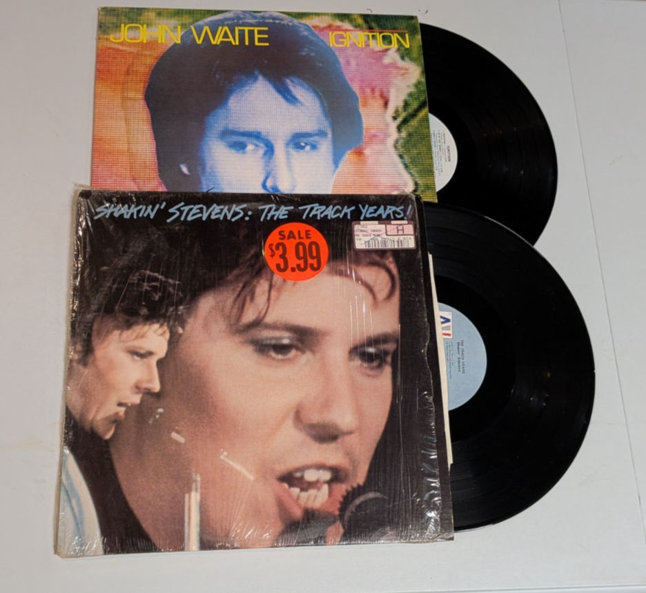 Big Lot of 21 Vinyl 33 Album LP Records VG+ w/ BEE GEES, FANCY & More ...