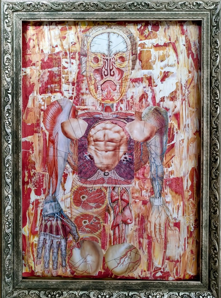 Human Body - Vintage Anatomy Collage Art by Anonymous Artist | eBay