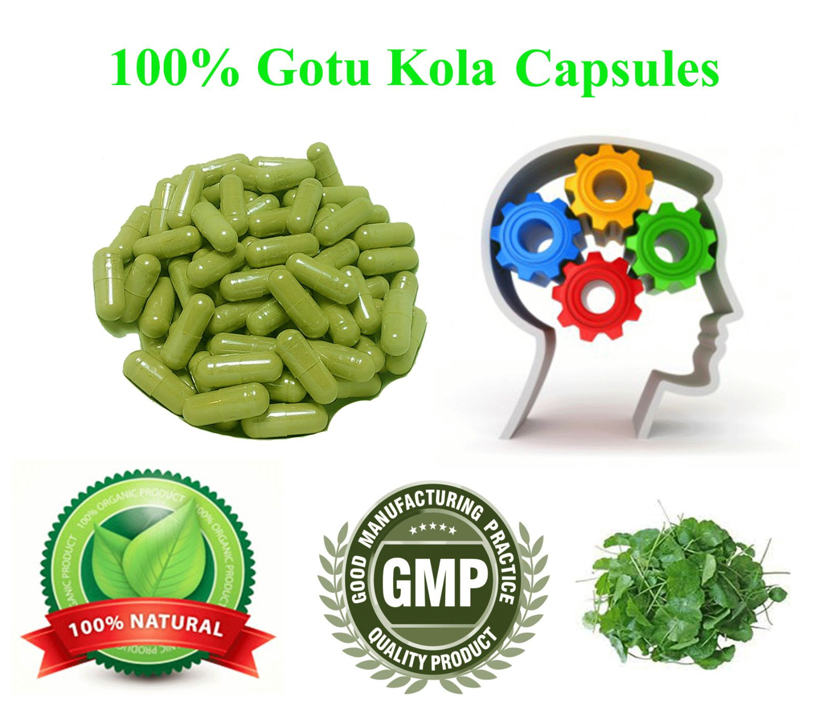Gotu Kola Centella Asiatica Leaf Pure Organic Caps Herb Pill 250 mg 100 ...