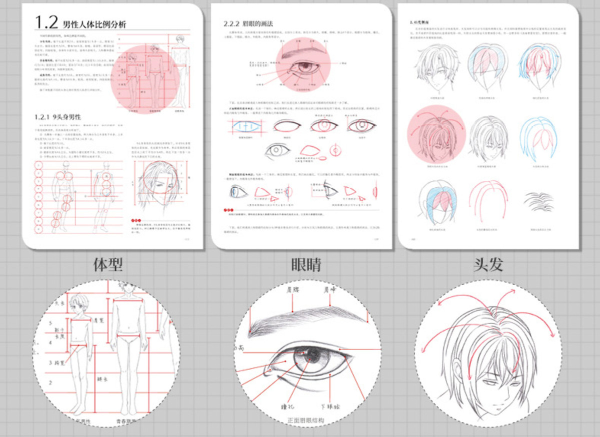 Anime Body Structure