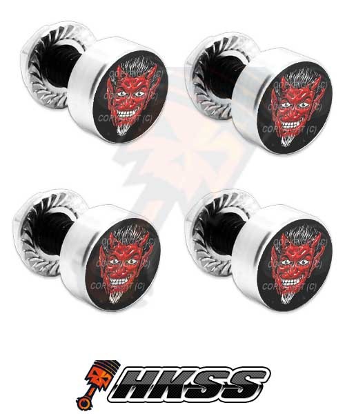 4 Silver Billet Aluminum License Plate Frame Tag Bolts - RED DEVIL 1%er ...