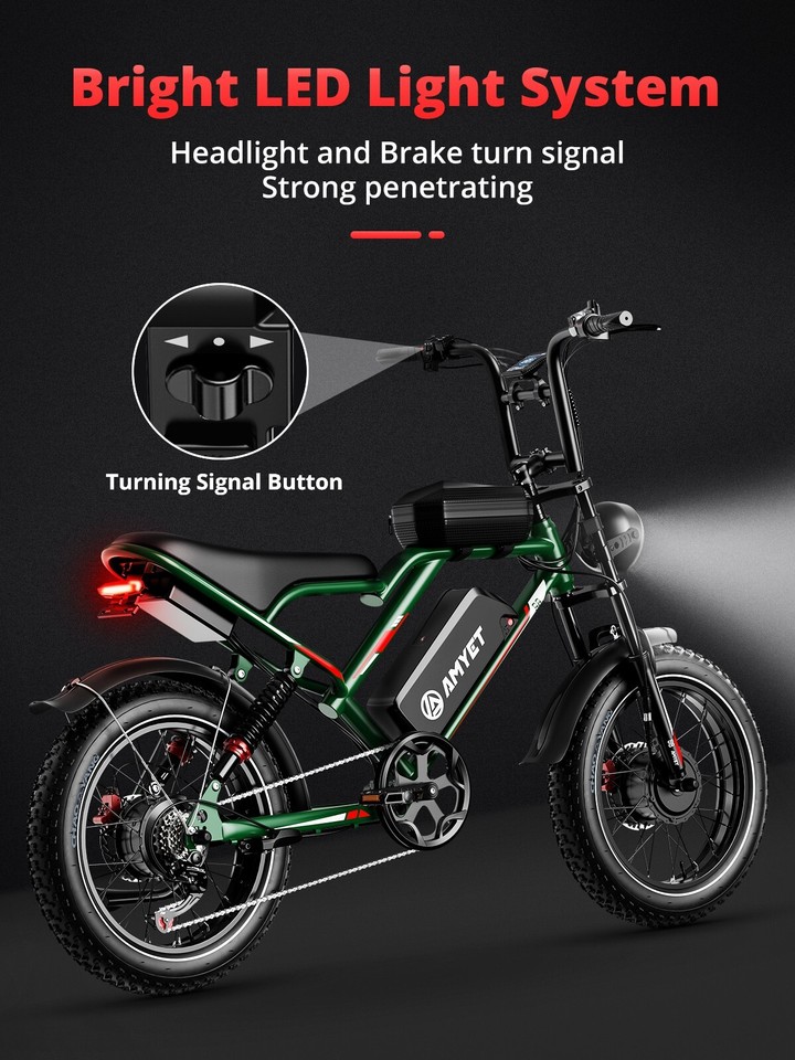 AMYET S8 Electric Bike Adult 2000W Dual Motor AWD 48V 25Ah e bike 32MPH ...
