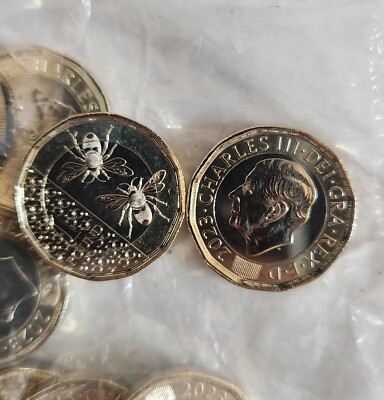 2023 £1 One Pound Coin Bees - Uncirculated from seal bag - In Stock ...
