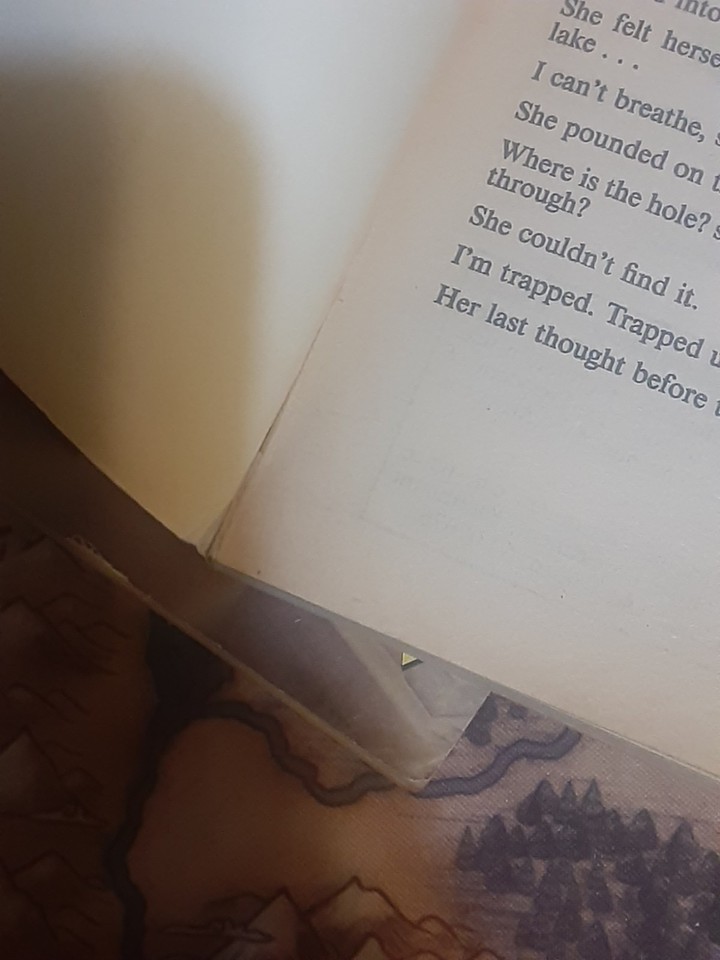 R.L. Stine's Fear Street series: The New Year's Party, Silent Night ...