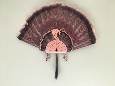 Turkey Fan Mount Kit Hanger Beard Spurs Tom Jake Eastern Merriam ...