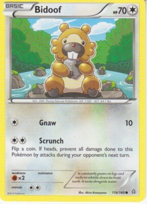 Bidoof 116/160 Primal Clash Common Light Play Pokemon DNA GAMES | eBay
