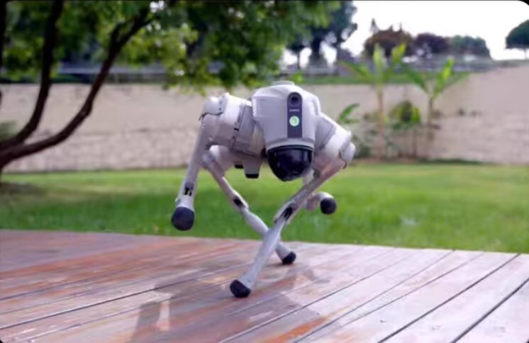 Go2-Air Bionic Quadruped Robot Dog w/ Remote Control Ultra-wide 4D ...