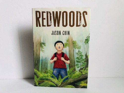 Redwoods by Jason Chin (2009, Hardcover) BRAND NEW 9781596434301| eBay
