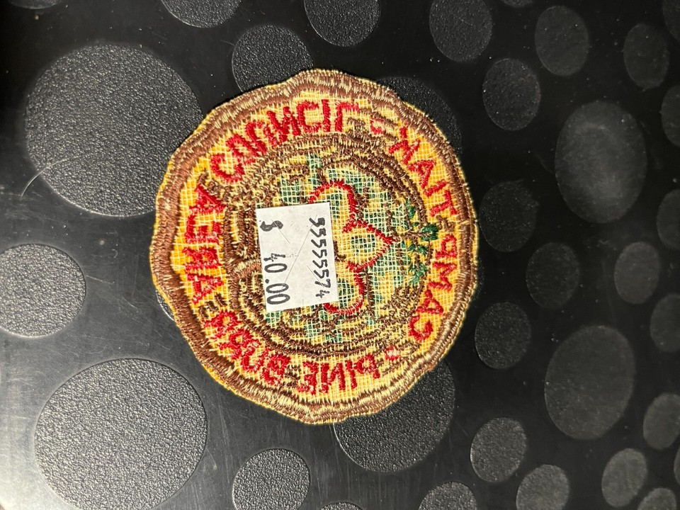 OA 1956 CAMP TI'AK PATCH PINE BURR COUNCIL OM | eBay