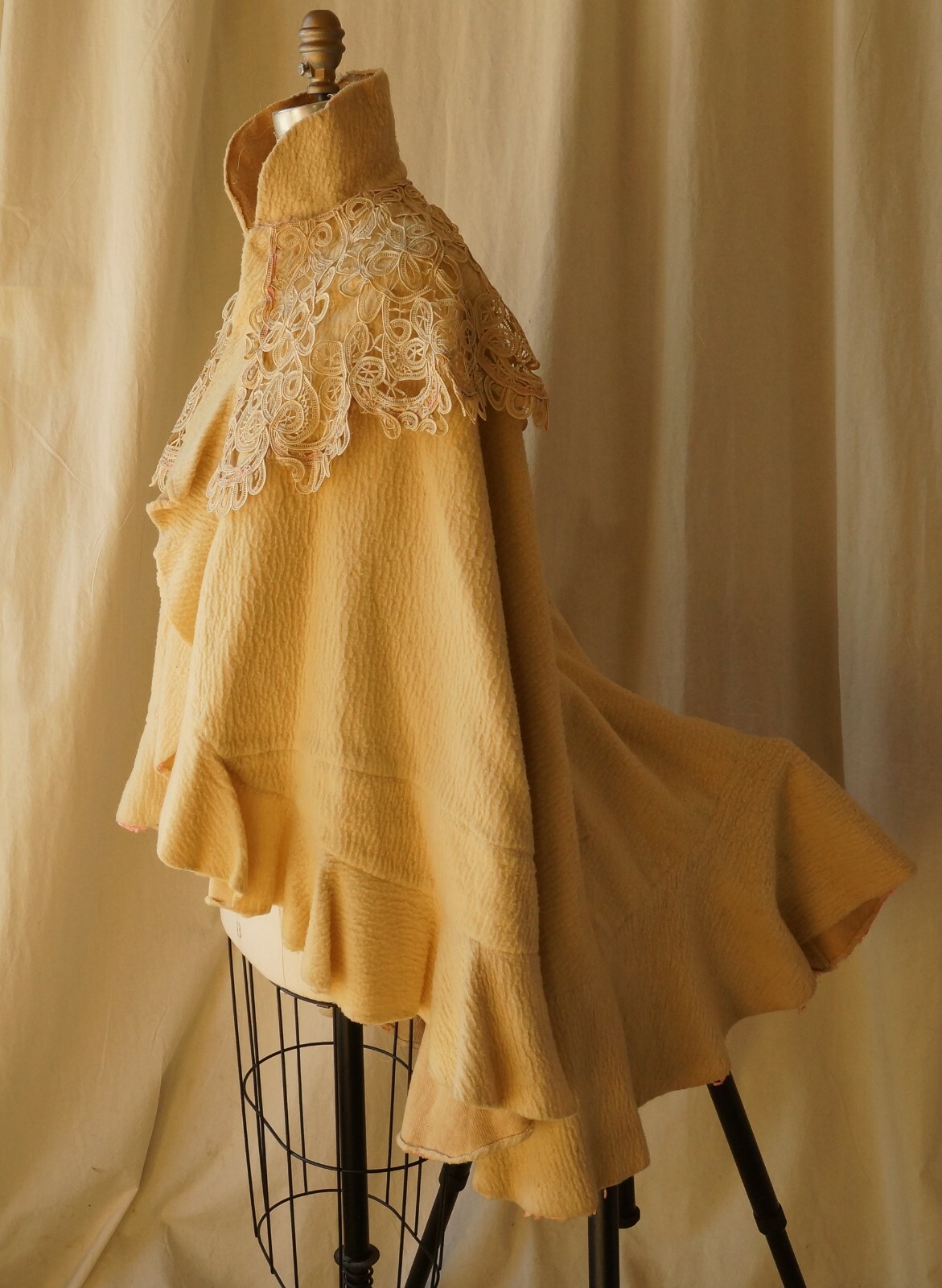 1800s Fleece Cape Bustle Cover Embellished Collar | eBay