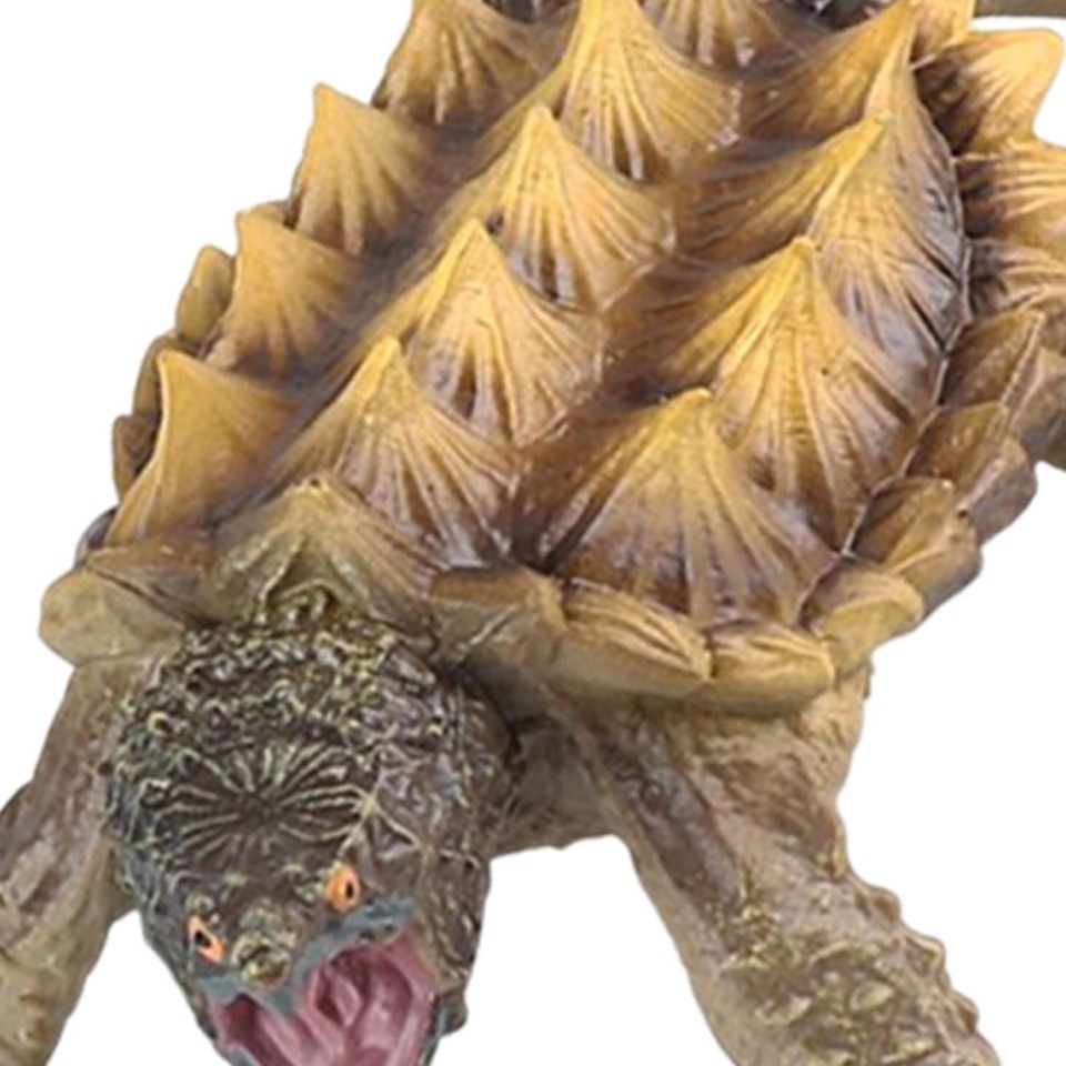 Snapping Turtle Figure, Playset, Animal Model for Collectibles | eBay ...